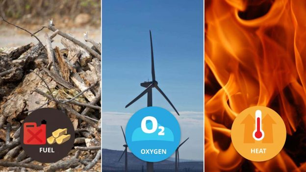 How Did Humans Discover Fire? - Learn Libre