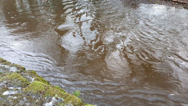 How Sedimentary Rocks Are Made: Lesson and Experiment Guide - Learn Libre