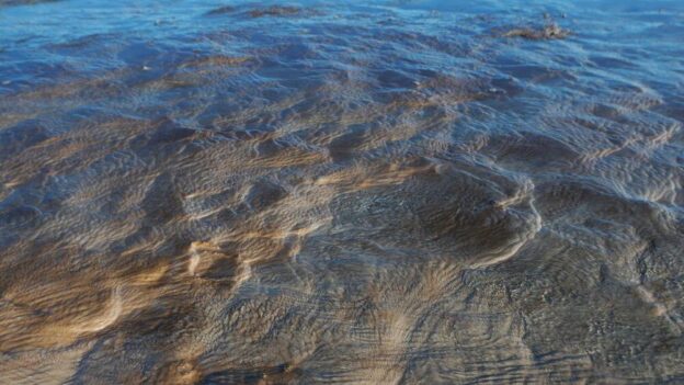 How Sedimentary Rocks Are Made: Lesson and Experiment Guide - Learn Libre