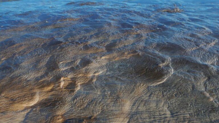 How Sedimentary Rocks Are Made: Lesson and Experiment Guide - Learn Libre