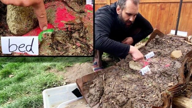 How Sedimentary Rocks Are Made: Lesson and Experiment Guide - Learn Libre